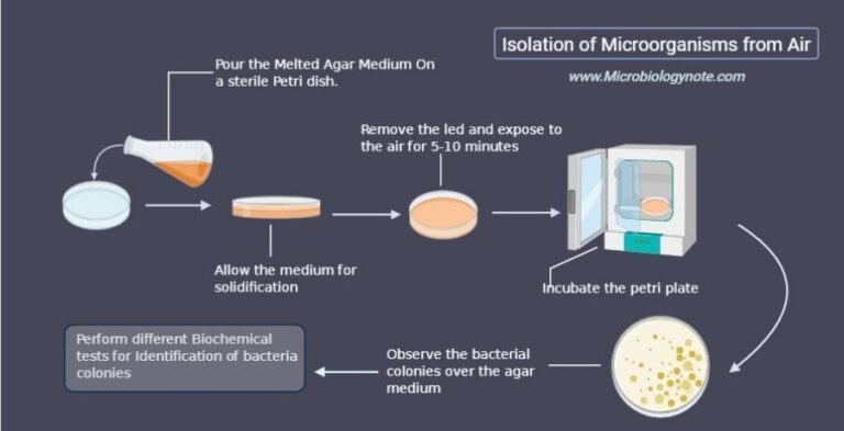 Isolation of Microorganism From Air - Biology Notes Online
