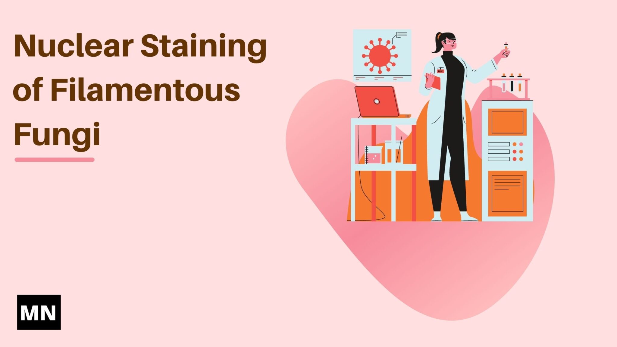 Hematoxylin and Eosin (H&E) Staining - Principle, Procedure, Result ...
