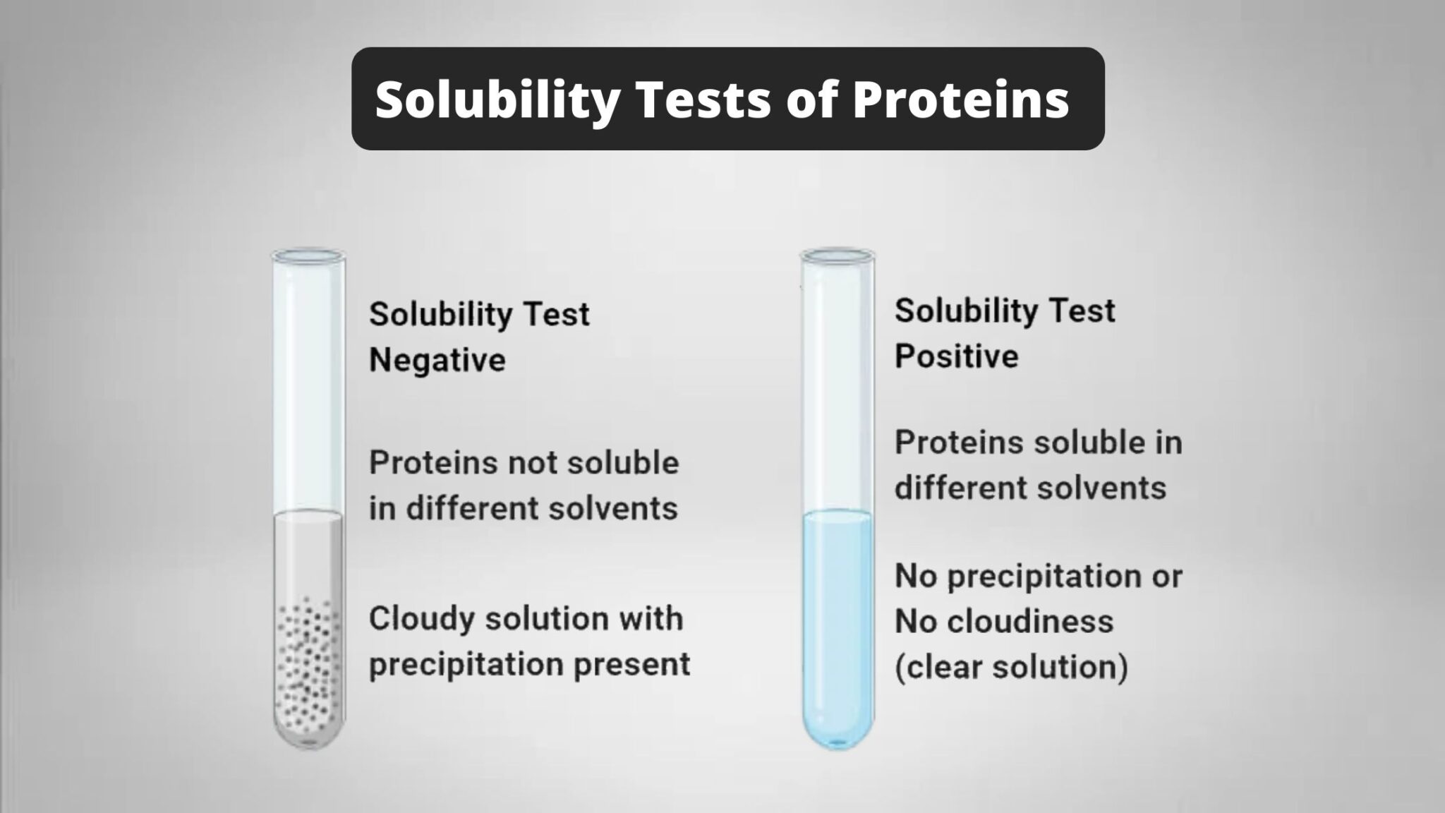 Casein Hydrolysis Test - Principle, Procedure, Result - Biology Notes ...