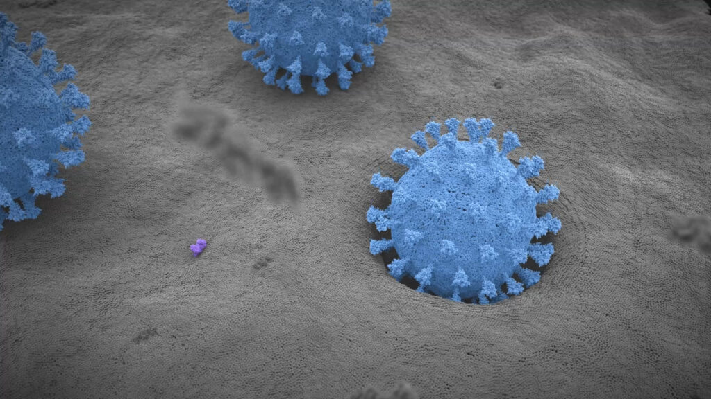 Endocytosis - Definition, Steps, Types, Mechanism, Function, Examples ...
