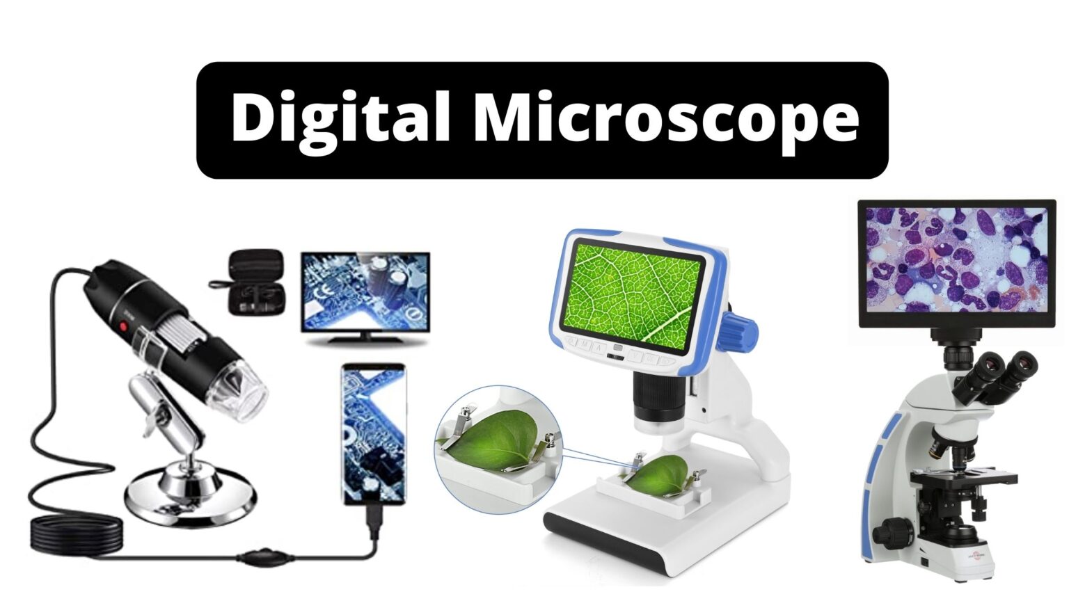 Trinocular Microscope - Definition, Principle, Parts, Protocol, Uses ...