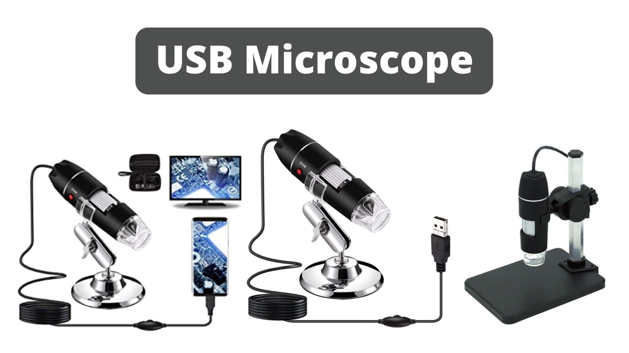 Microscope Slides Preparation Step By Step Guide - Biology Notes Online