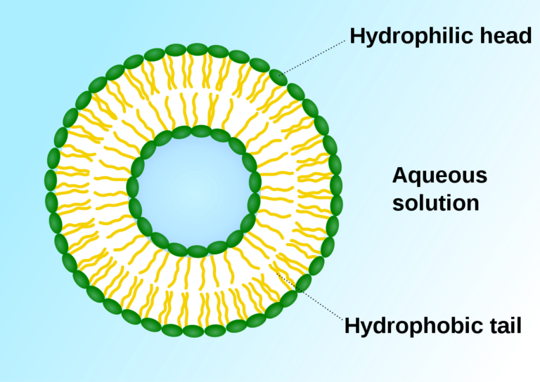 Cell Organelles - Structure, Functions, Diagram - Biology Notes Online