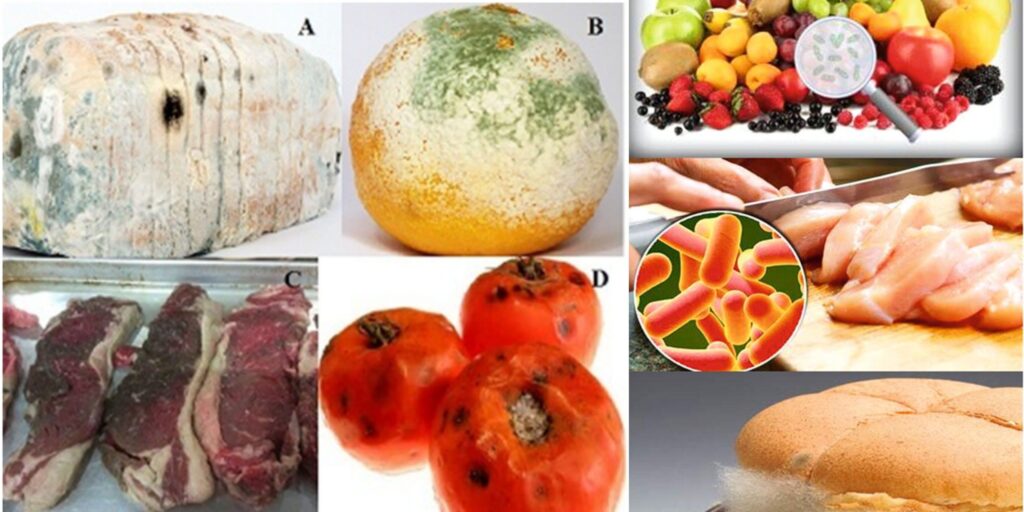 What Is Food Spoilage And Preservation At Sandra Mosher Blog What Is Food Spoilage And Preservation At Sandra Mosher Blog