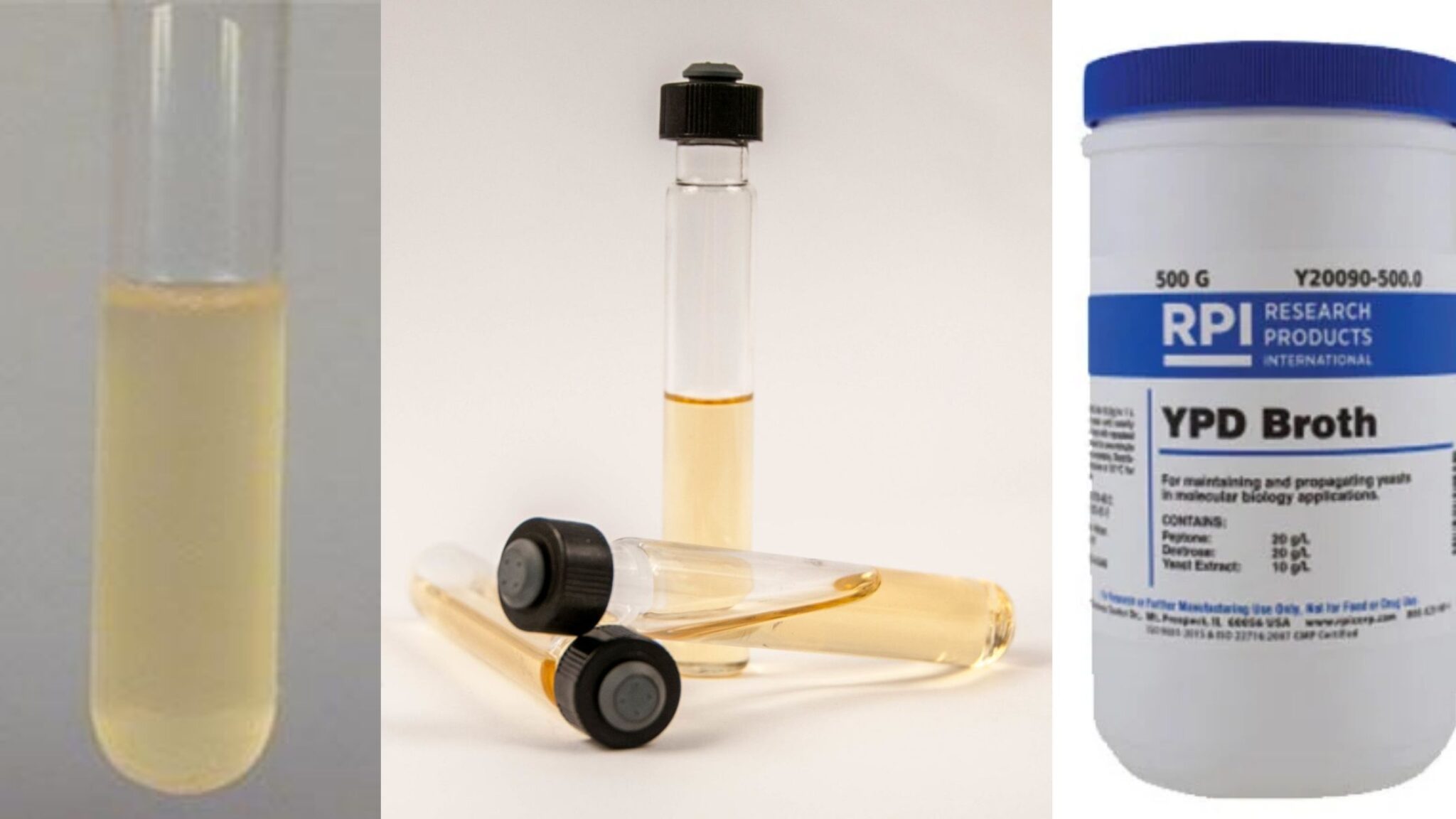 Phenylethyl Alcohol Agar - Composition, Preparation, Uses, Limitation ...