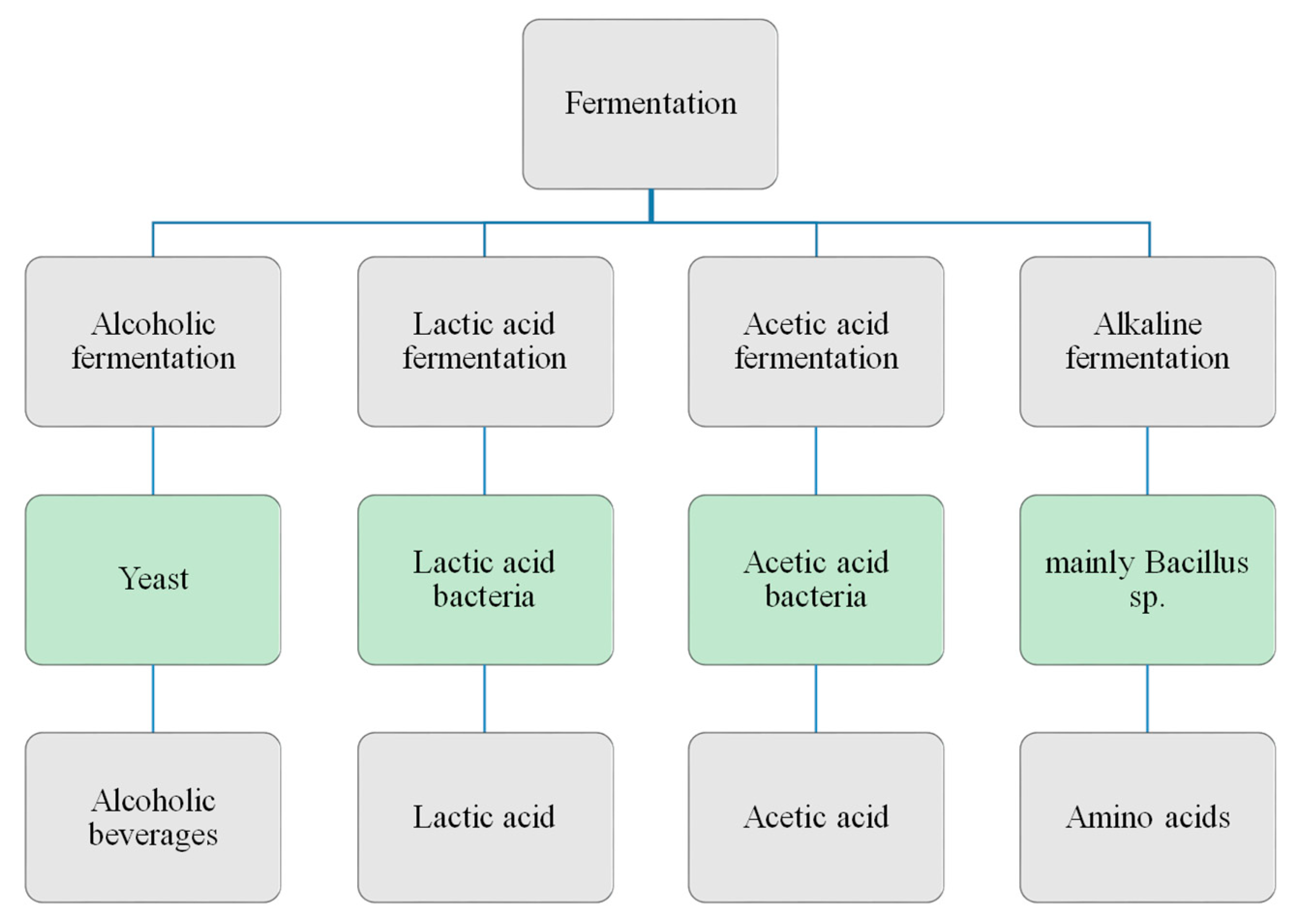 Fermentation Definition Types Equation And Products Fermented Milk