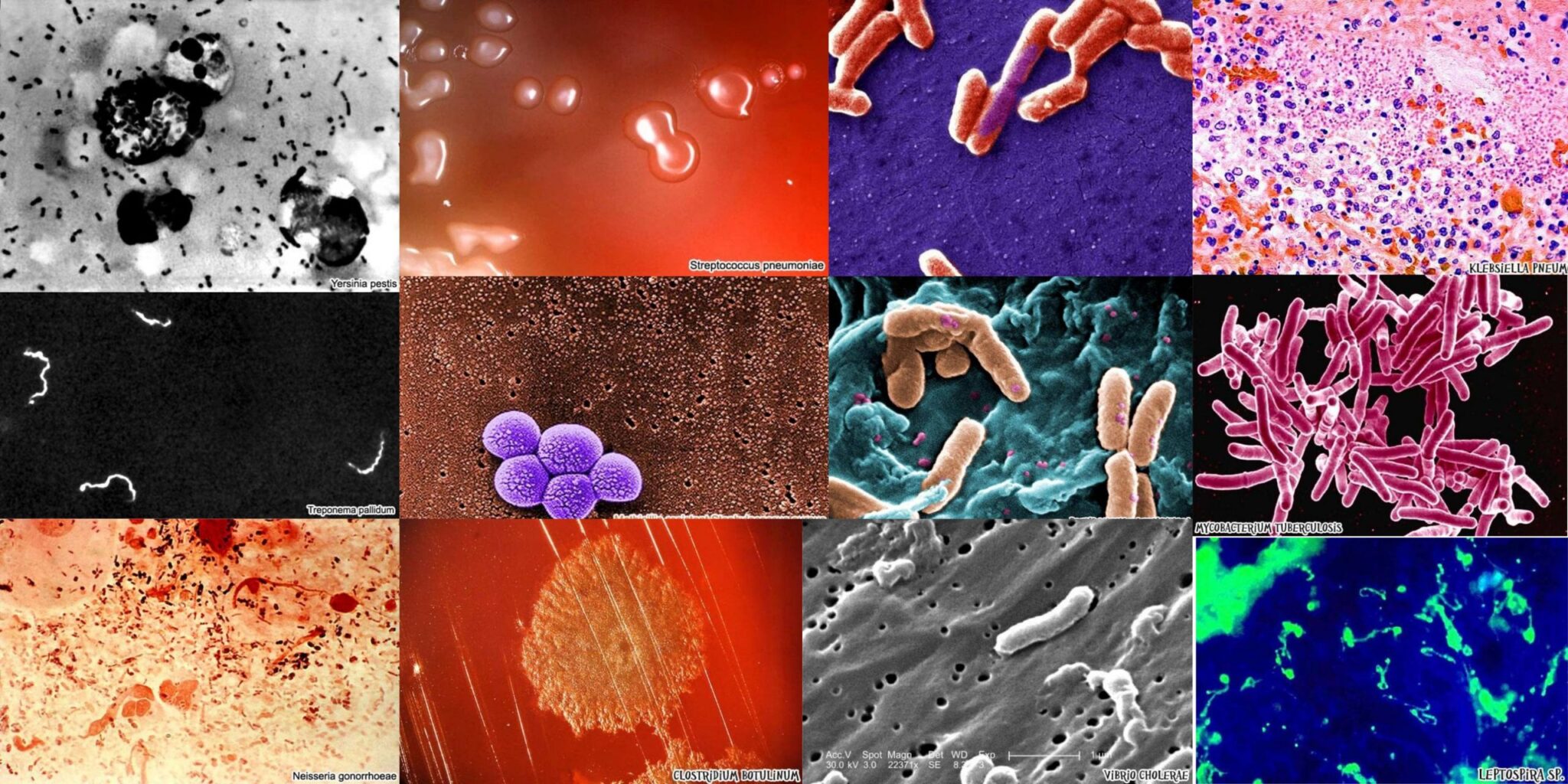 65 Best Biology Movies and documentary on Netflix - Biology Notes Online