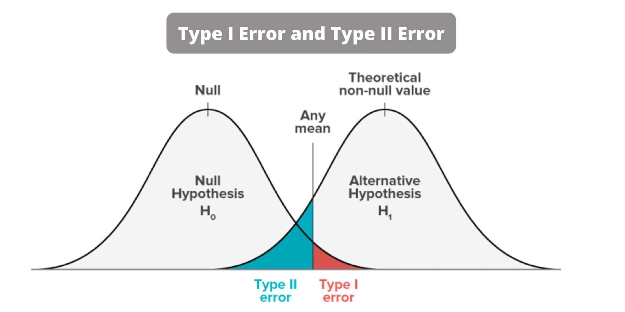 Spectrometer vs Spectrophotometer - Biology Notes Online