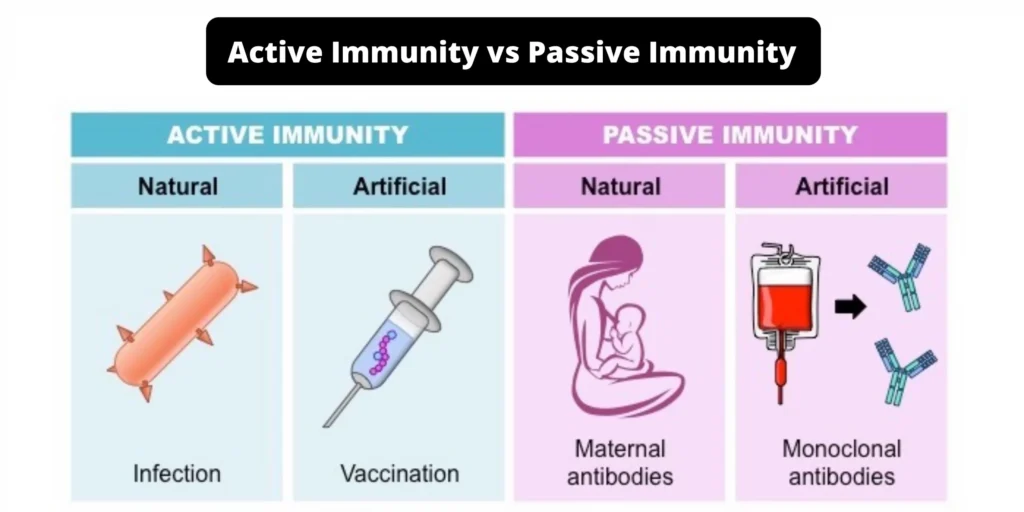 Differences between Active Immunity and Passive Immunity - Biology ... Differences between Active Immunity and Passive Immunity - Biology ...