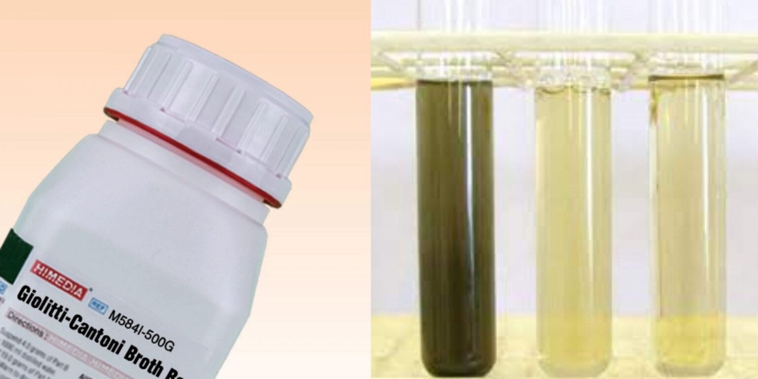 Catalase Test Principle, Procedure, Result and Application. - Biology ...