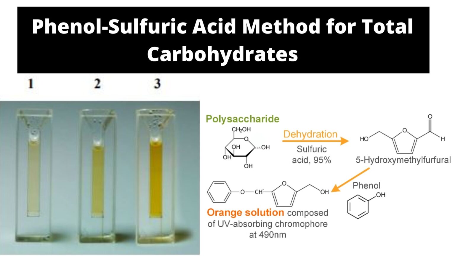 Nitrate Reduction Test Procedure Principle Result Biology Notes Online