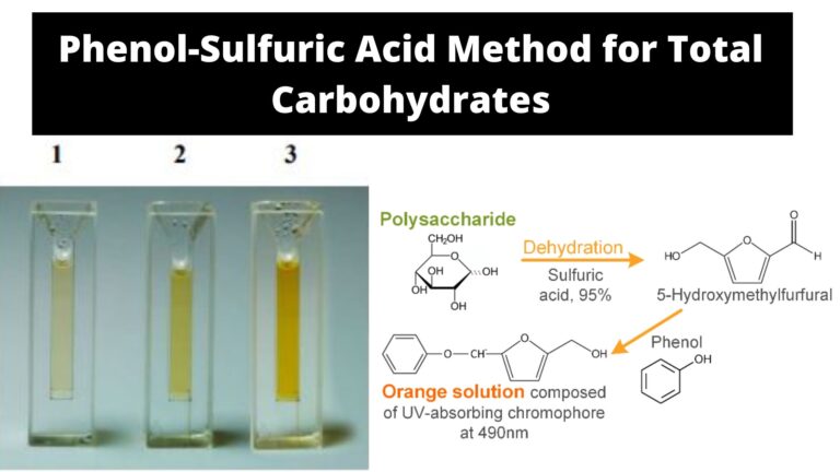 Fructose Metabolism Pathway Fructolysis Biology Notes Online