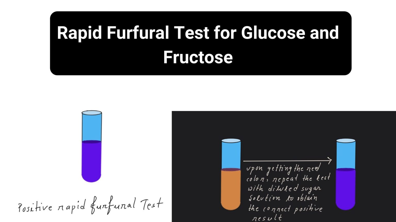Ames Test Principle Procedure Result Limitation Applications