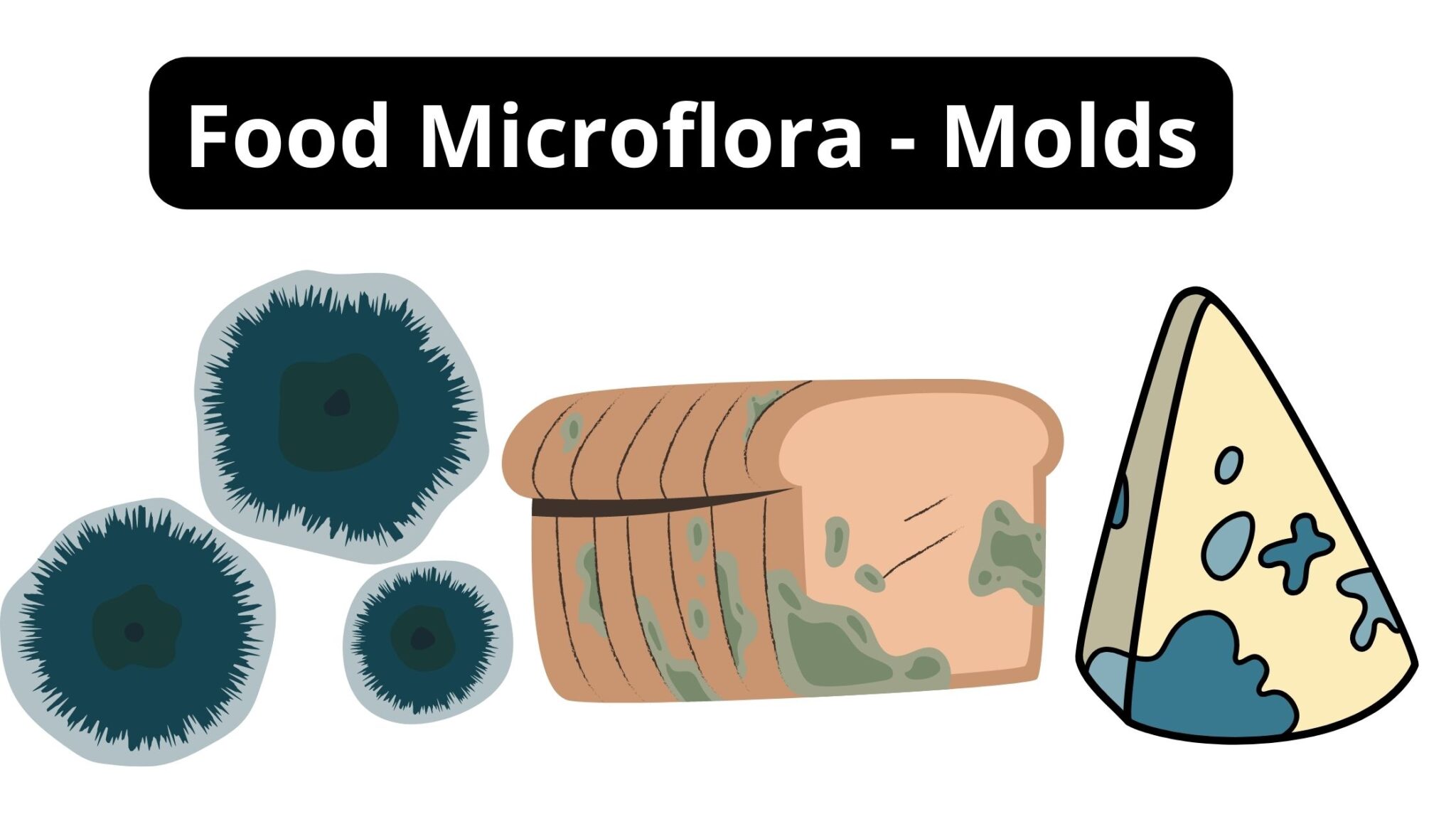 Microbial Food Spoilage - Causes, Classification, Process, Factors ...