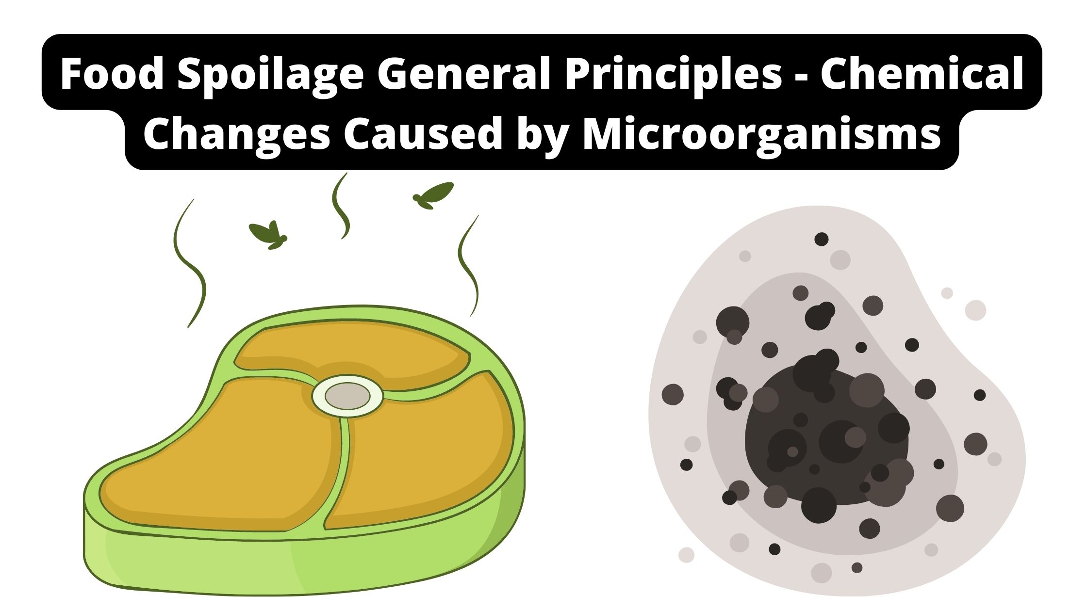 Food Spoilage Archives Biology Notes Online Food Spoilage Archives Biology Notes Online