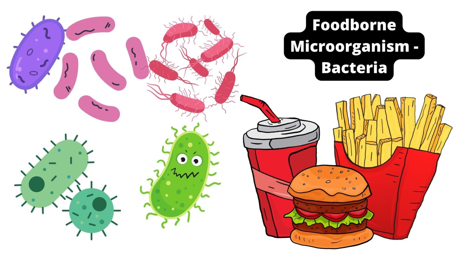 Factors Affecting The Growth Of Microorganisms In Foods - Biology Notes ...