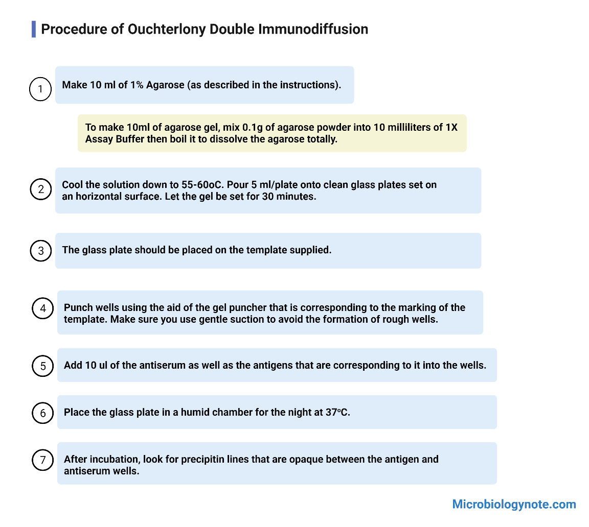 Ouchterlony Double Diffusion Ouchterlony Double Diffusion Patterns Of