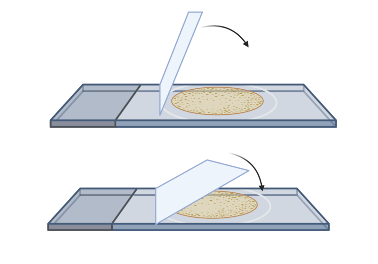 How To Use A Microscope Properly - Biology Notes Online