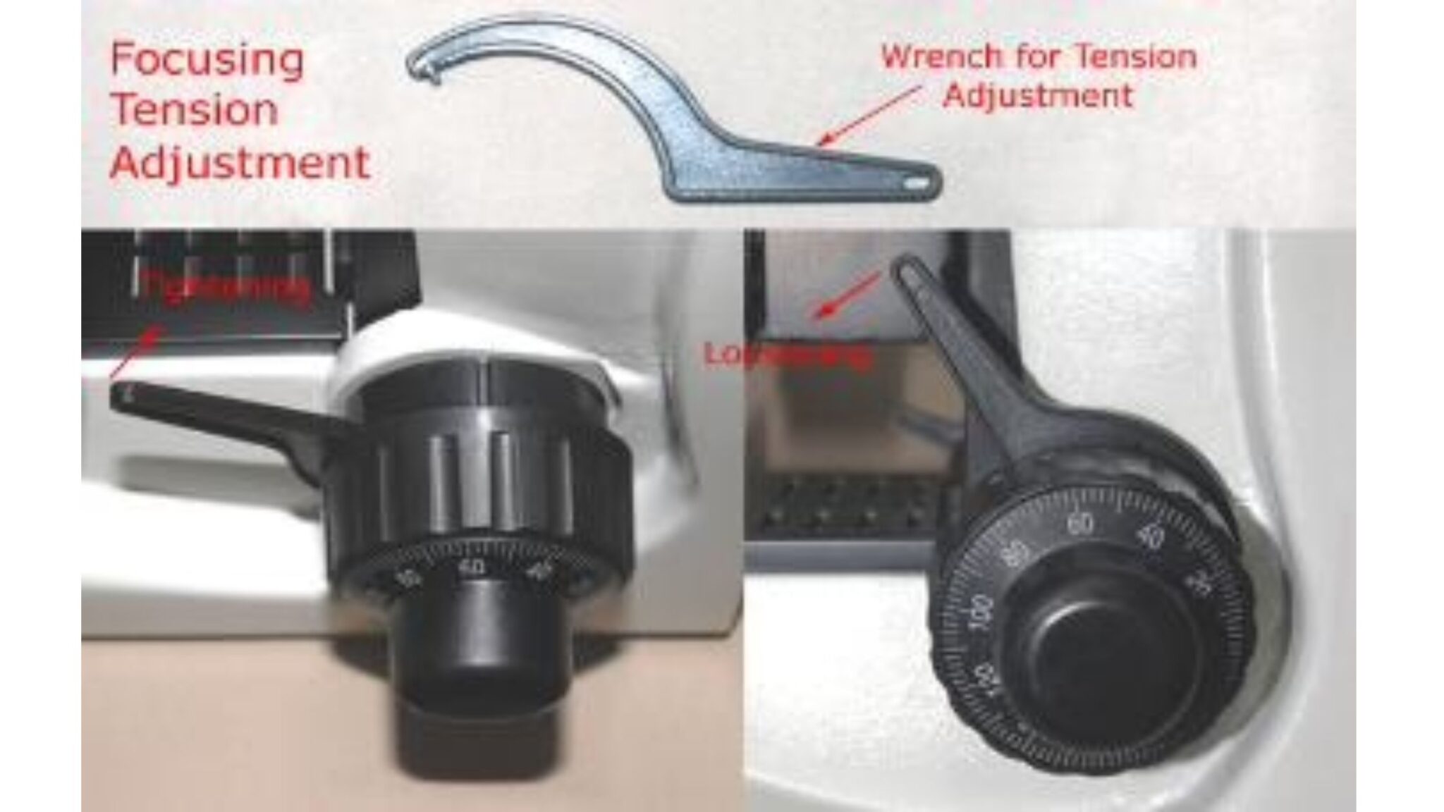 How To Use A Microscope Properly - Biology Notes Online