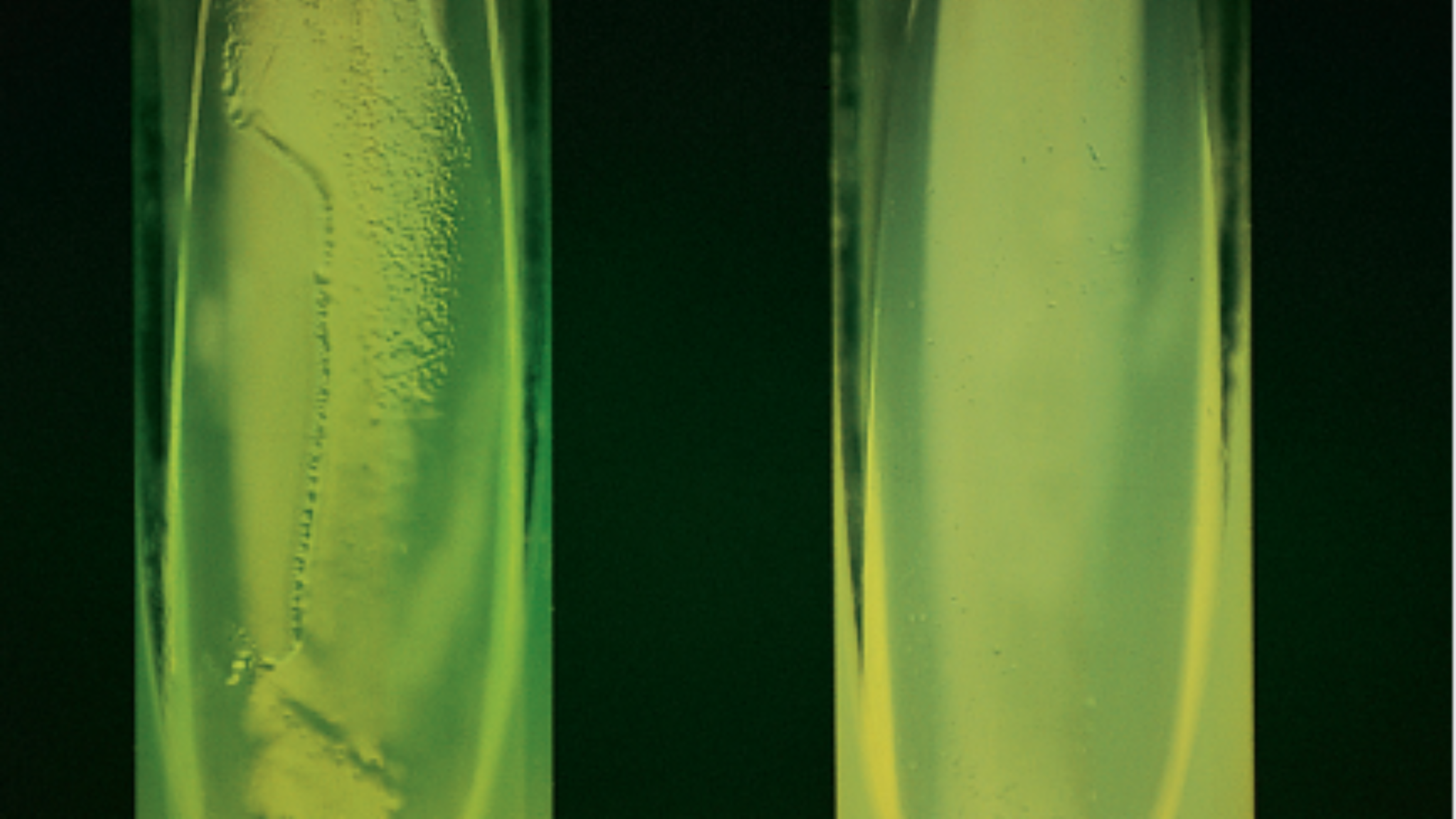 Nitrate Reduction Test Procedure Principle Result Biology Notes Online