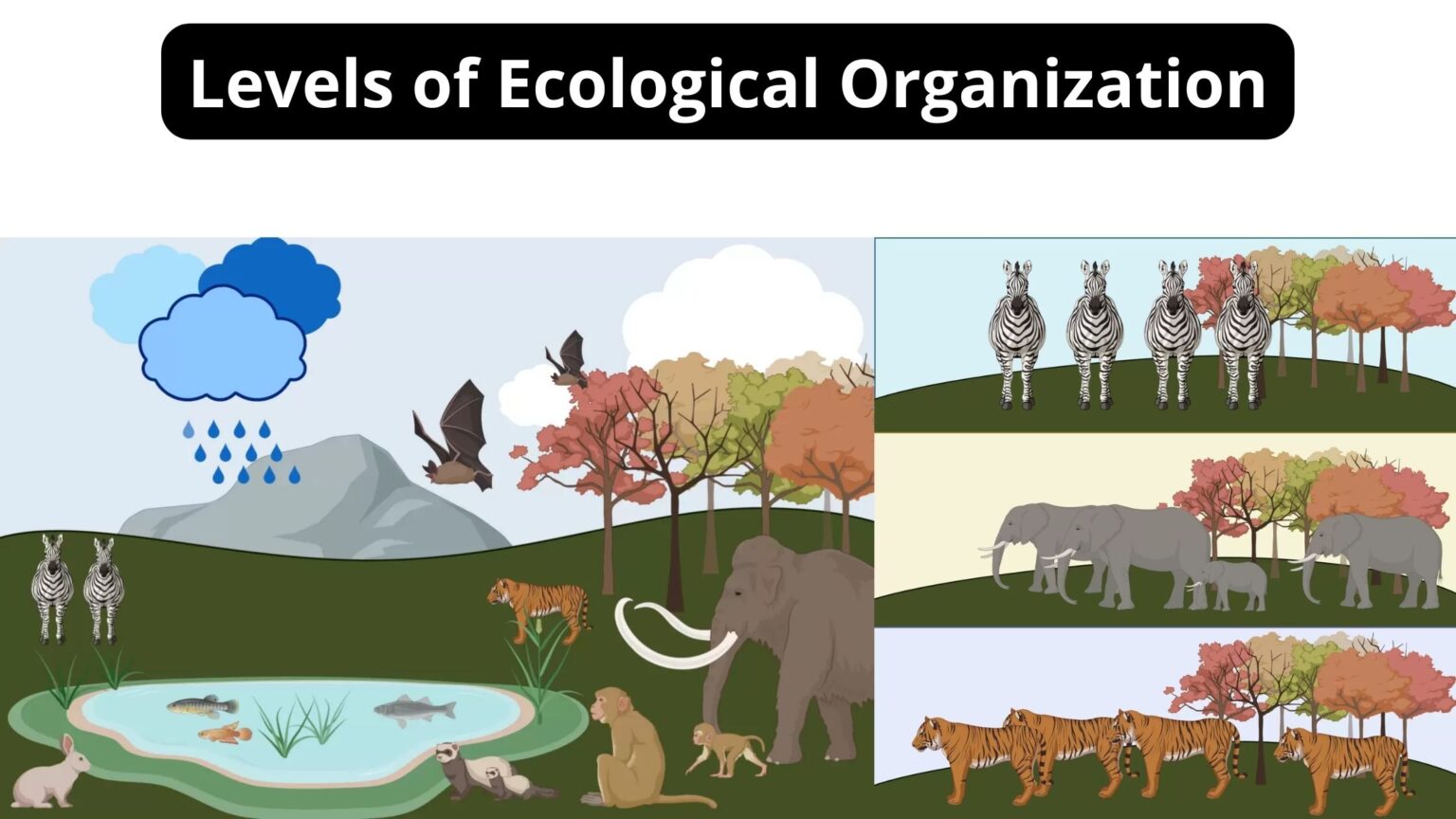 Factors Of Ecosystem - Definition, Types - Biology Notes Online
