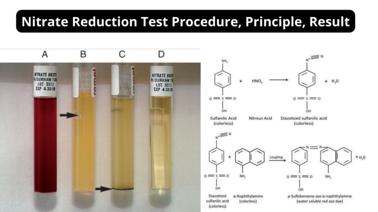 Biochemical Test - Biology Notes Online