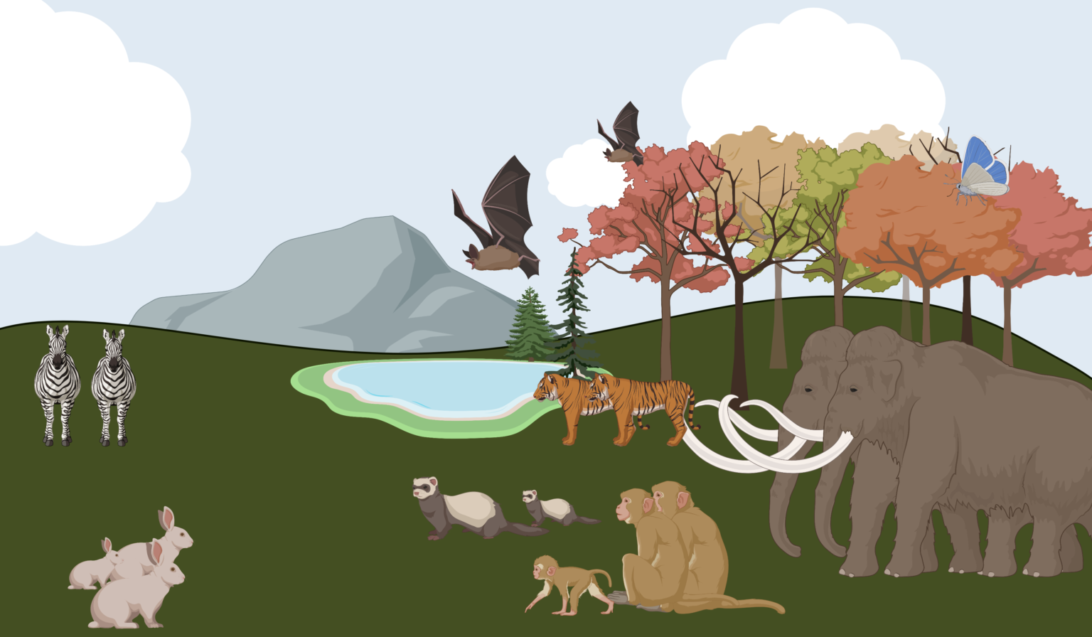 Levels of Ecological Organization - Definition, Examples - Biology ...