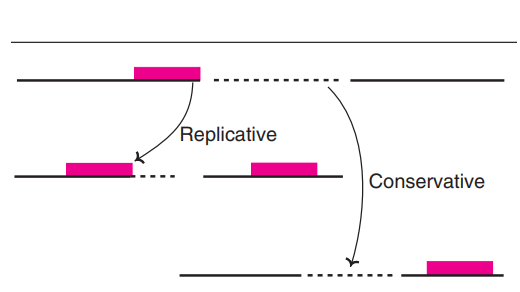 DNA Recombination - Definition, Mechanisms, Types - Biology Notes Online
