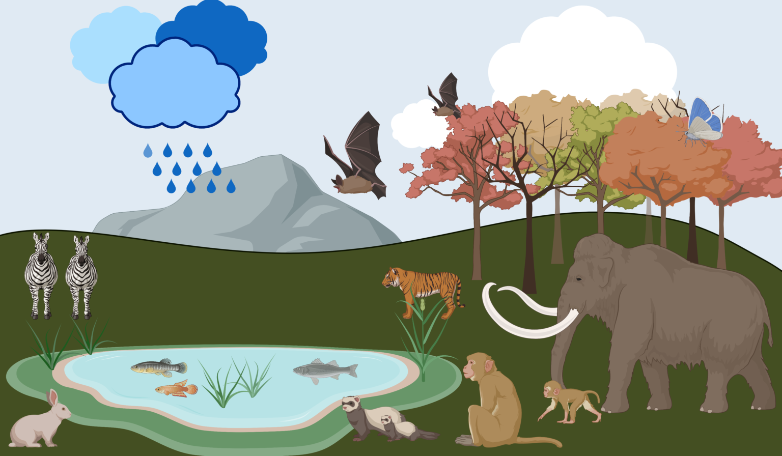 Levels of Ecological Organization - Definition, Examples - Biology ...