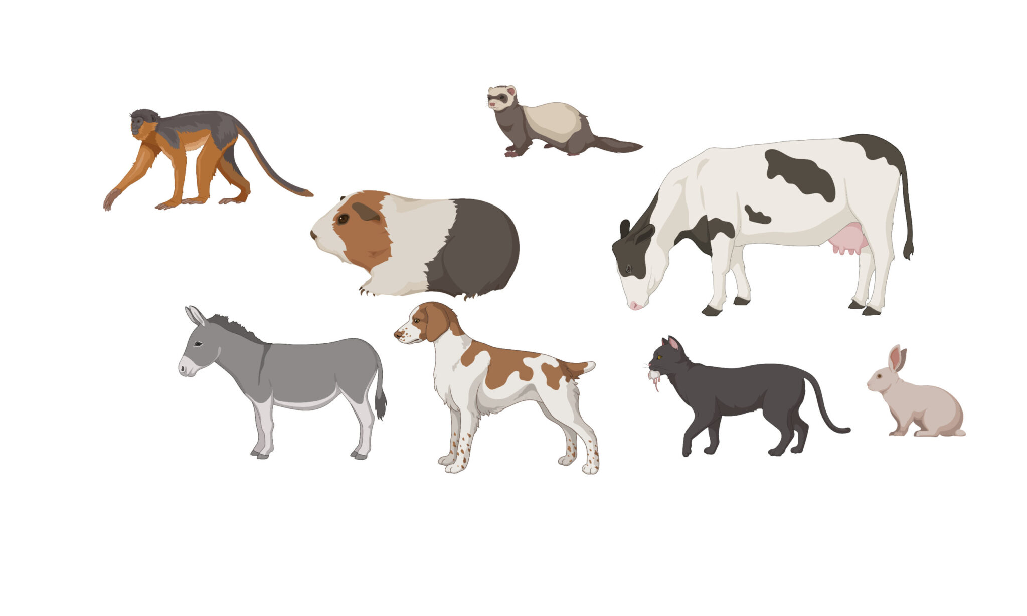 Levels of Ecological Organization - Definition, Examples - Biology ...