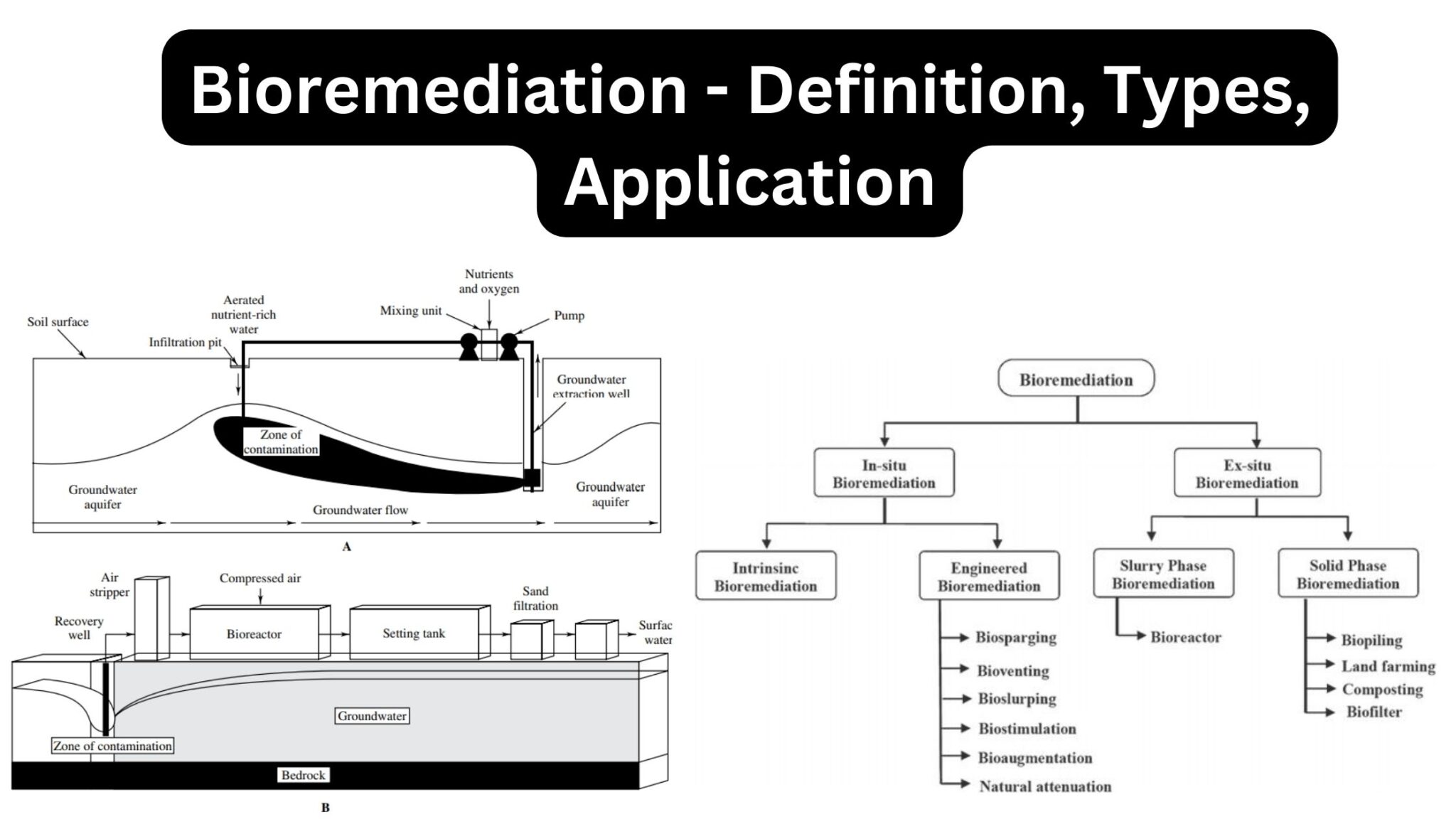 Microbial Bioremediation Archives - Biology Notes Online