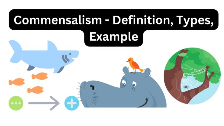 Mutualism - Definition, Types, Examples - Biology Notes Online