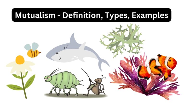 Competition Interaction - Definition and Types with Examples - Biology ...