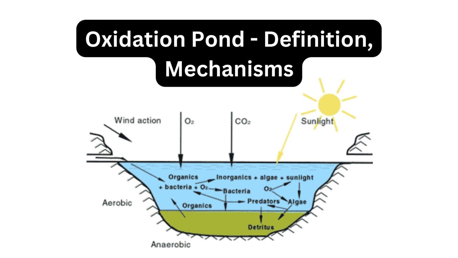 Biological Oxygen Demand (BOD) - Definition, Importance, Measurement ...