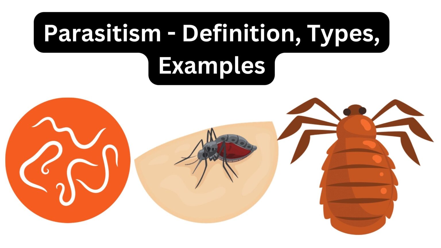 Competition Interaction - Definition and Types with Examples - Biology ...