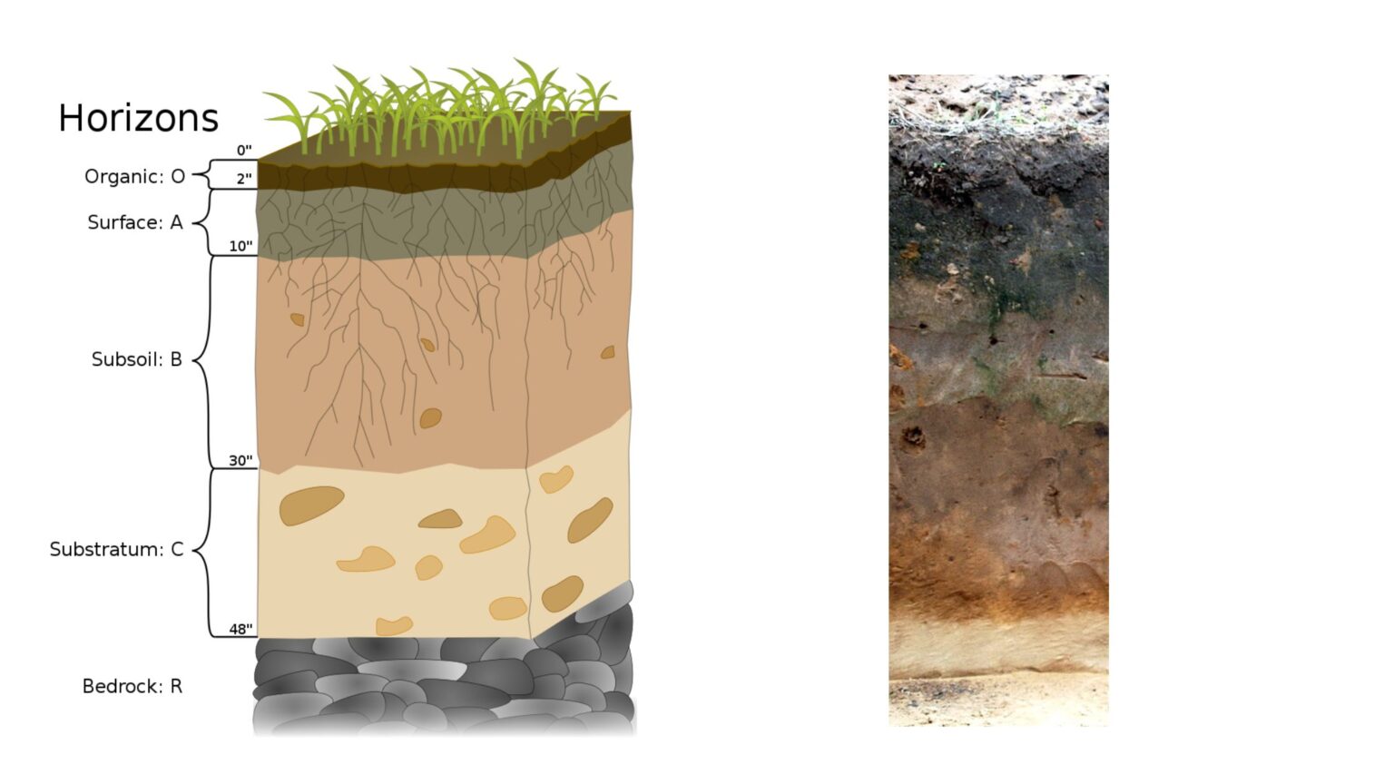 Extremophiles - Microbiology of Extreme Environments Definition, Types ... Extremophiles - Microbiology of Extreme Environments Definition, Types ...