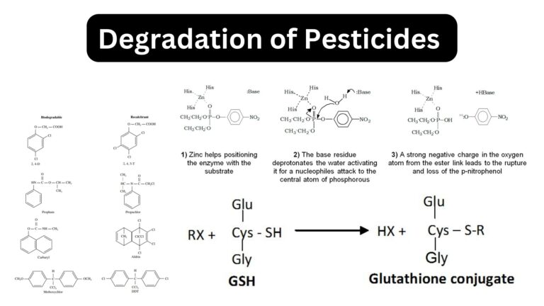 Chemical Oxygen Demand (COD) - Definition, Measurement, Uses - Biology ...