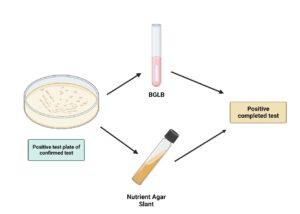 Most Probable Number (MPN) Test - Principle, Procedure, Results ...