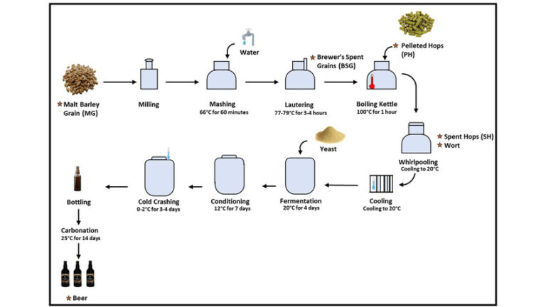 Downstream Processing Steps - Biology Notes Online