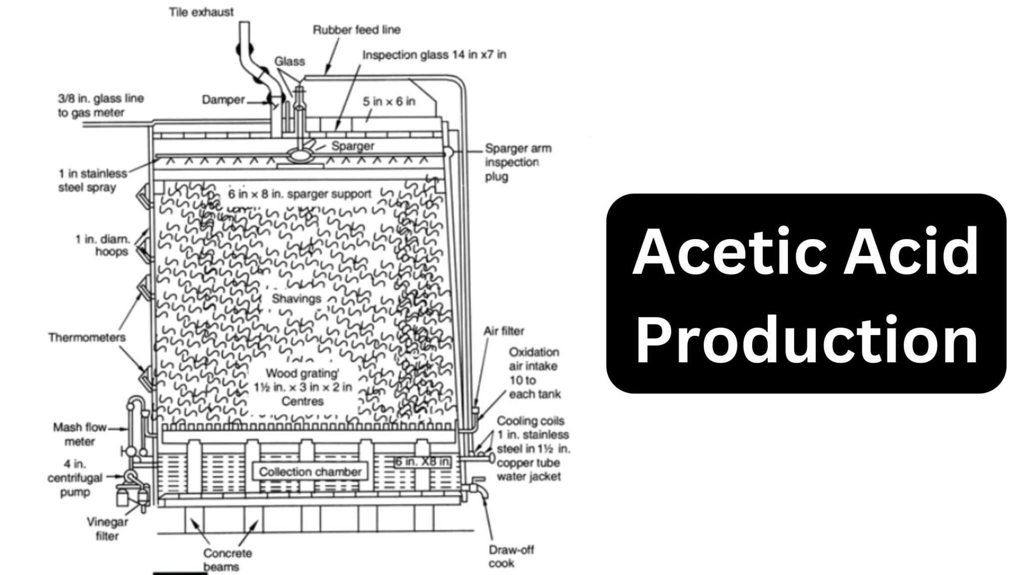 Lactic Acid Production - Biology Notes Online
