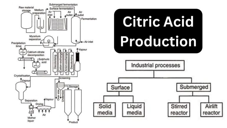 Bioprocess Engineering - Definition, Types, Uses - Biology Notes Online