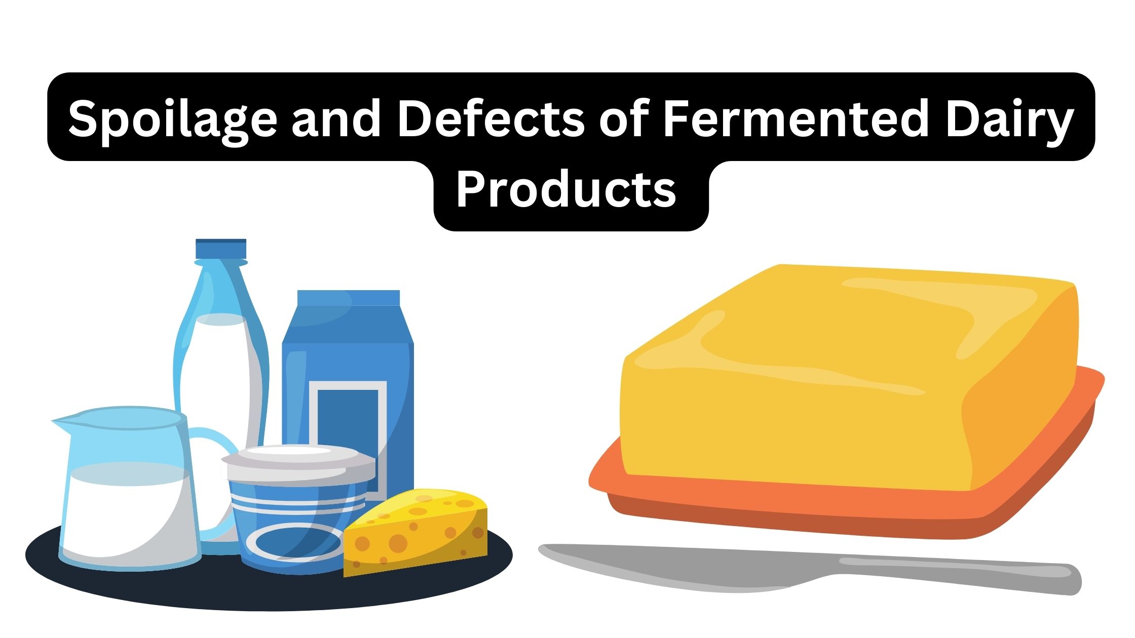 Fermented Dairy Products Archives Biology Notes Online