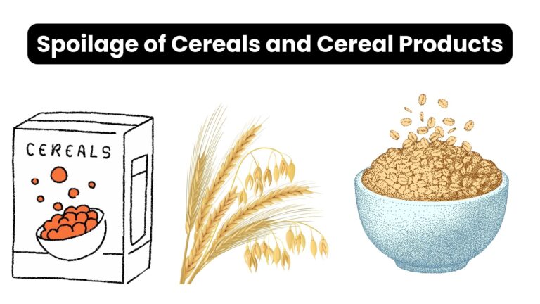 Contamination Of Foods - Biology Notes Online