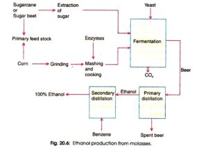 Ethanol Production (Alcohol) - Ethanol fermentation - Biology Notes Online