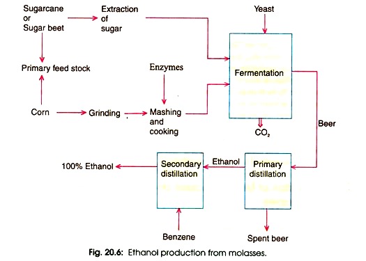 Alcohol Fermentation Diagram