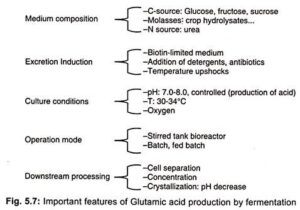 L-Glutamic Acid Production - Biology Notes Online