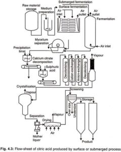 Citric Acid Production - Biology Notes Online