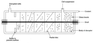Downstream Processing Steps - Biology Notes Online