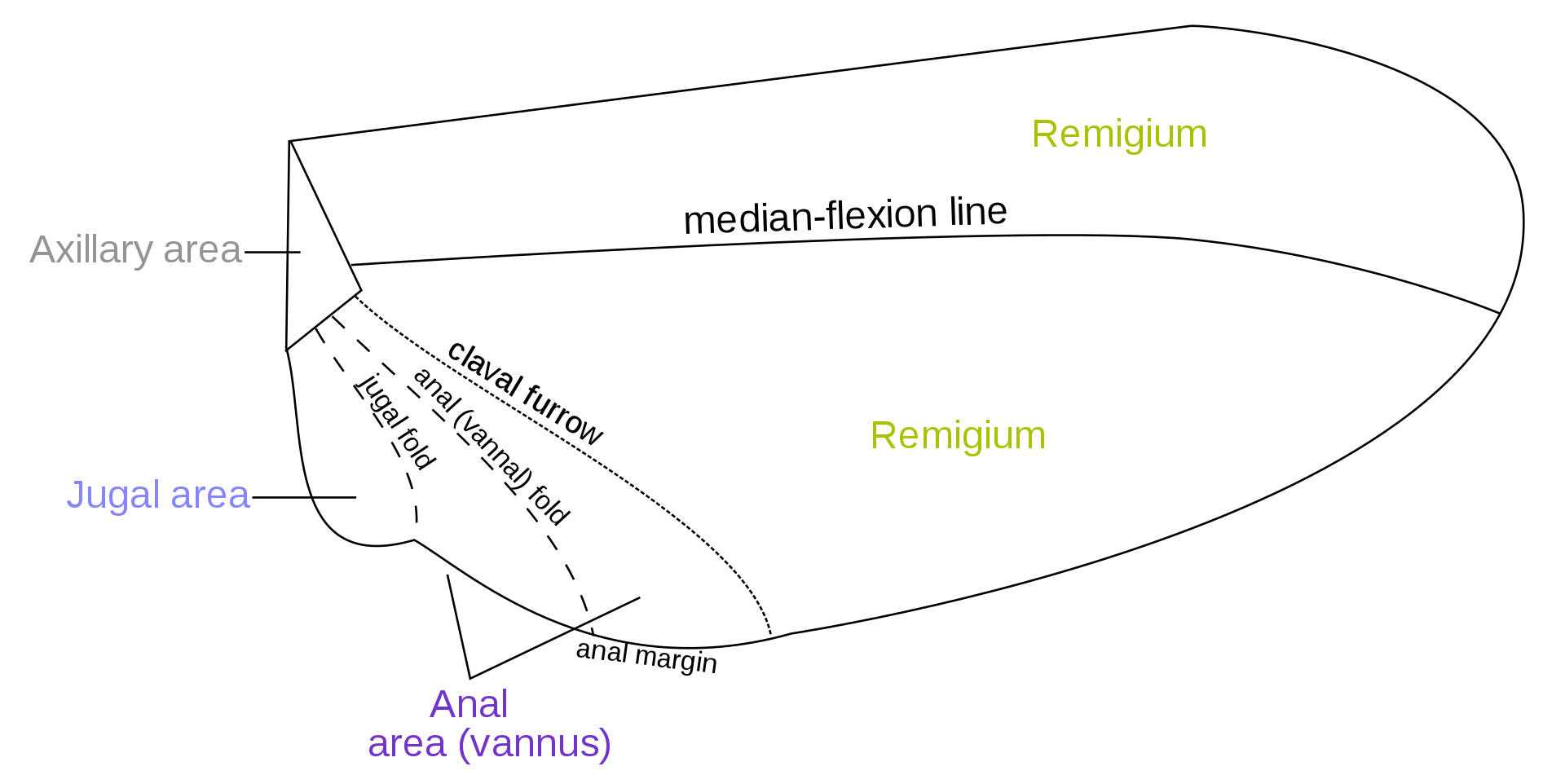 Insect Morphology (Morphology Of Pest) - Biology Notes Online