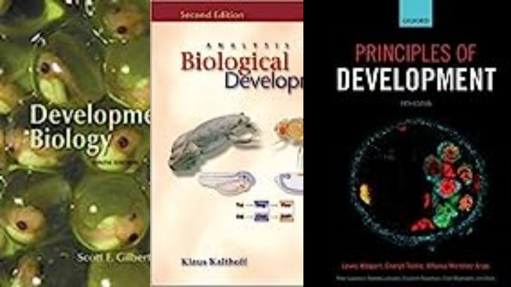 8 Best Books for Genetic Engineering and Biotechnology - Biology Notes ...